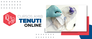 Cursos 2025 – Amib